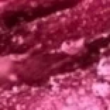 Busco a perro dudoso